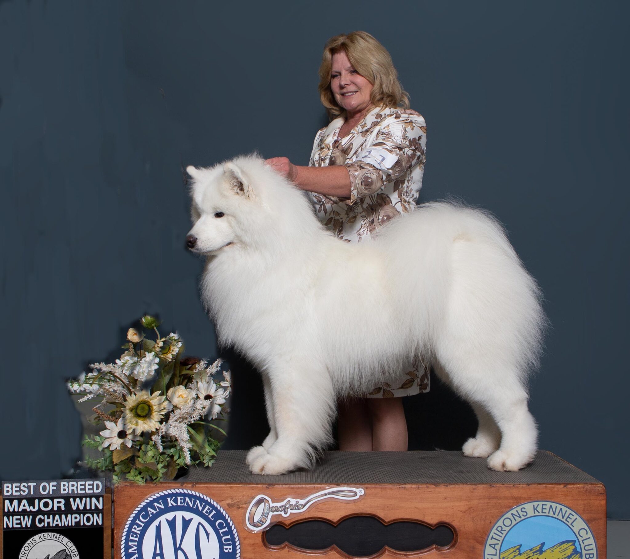 Ch.Polar Mist N Mishka's Spirit Of The Bear (Tuk) - Polar Mist Samoyeds